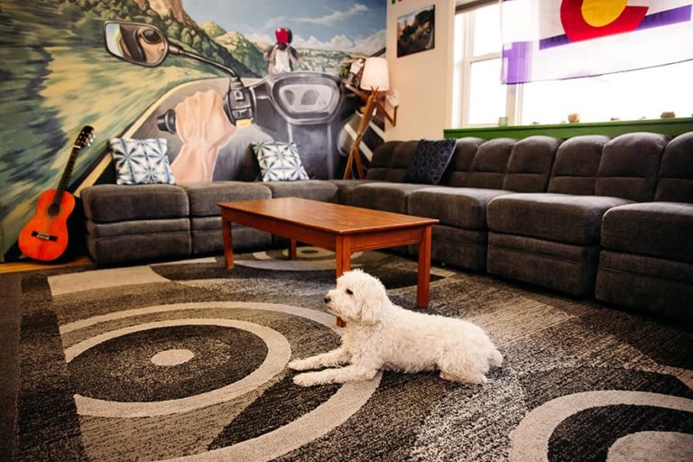 Find Your Home Away From Home: Youth Hostel CO - Book Today!